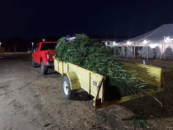 Find A Tree – Severts Tree Farm