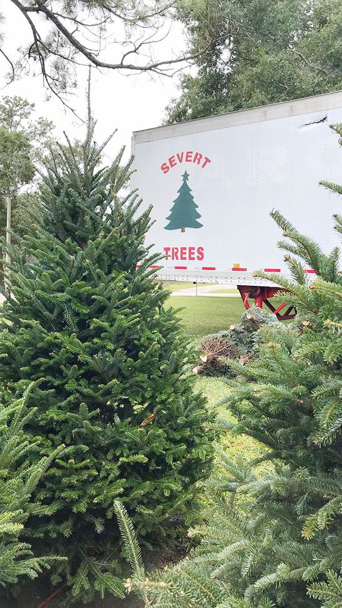 Find A Tree – Severts Tree Farm
