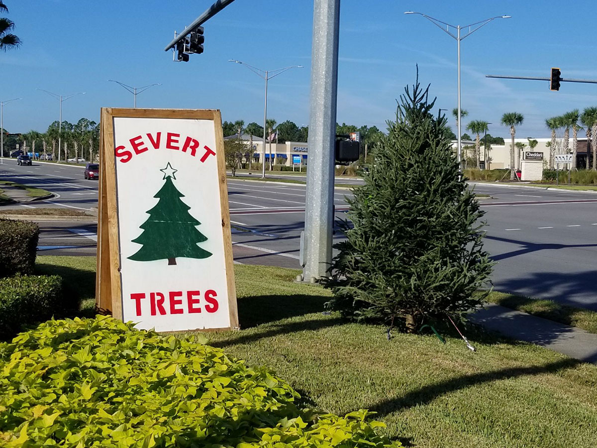 Find A Tree – Severts Tree Farm