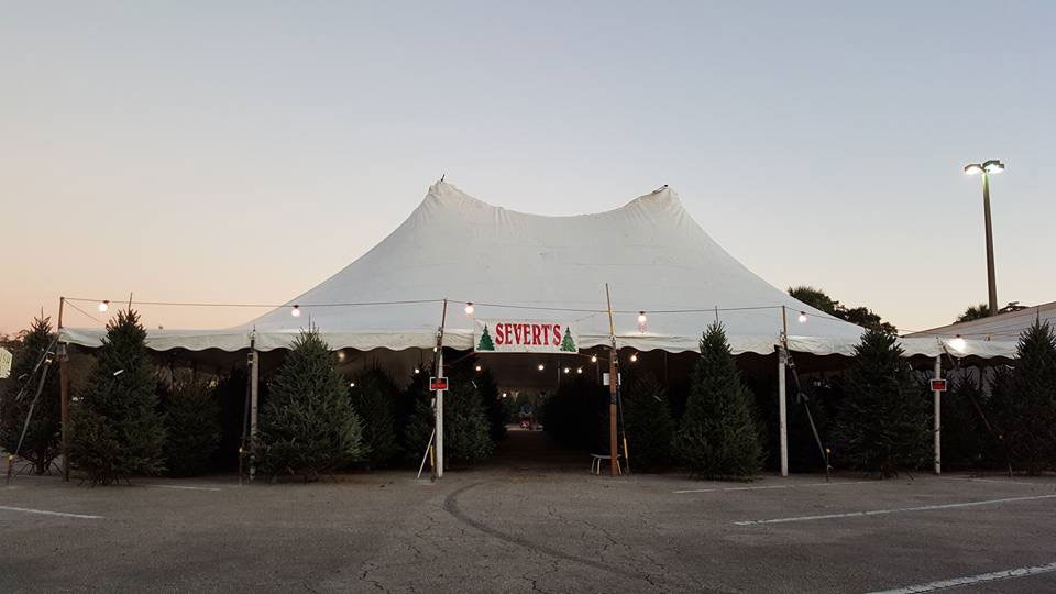 Find A Tree – Severts Tree Farm